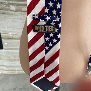 Wild Ties | Accessories | Wild Ties Patriotic American Flag Tie New ...